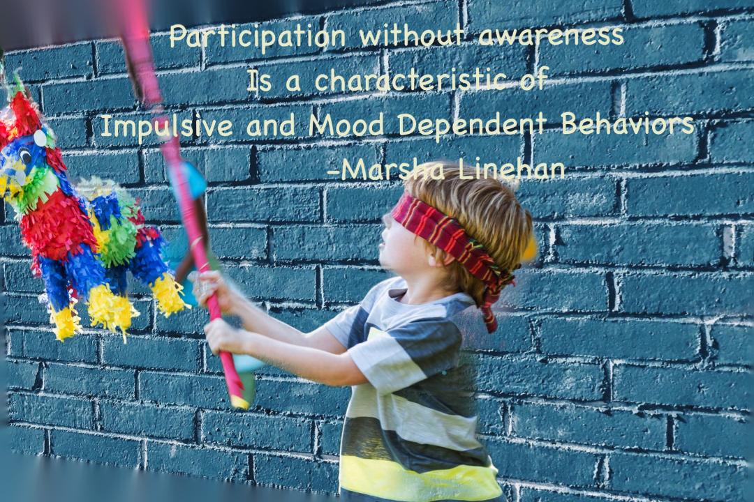 participate-pinata – Dialectical Behavior Therapy